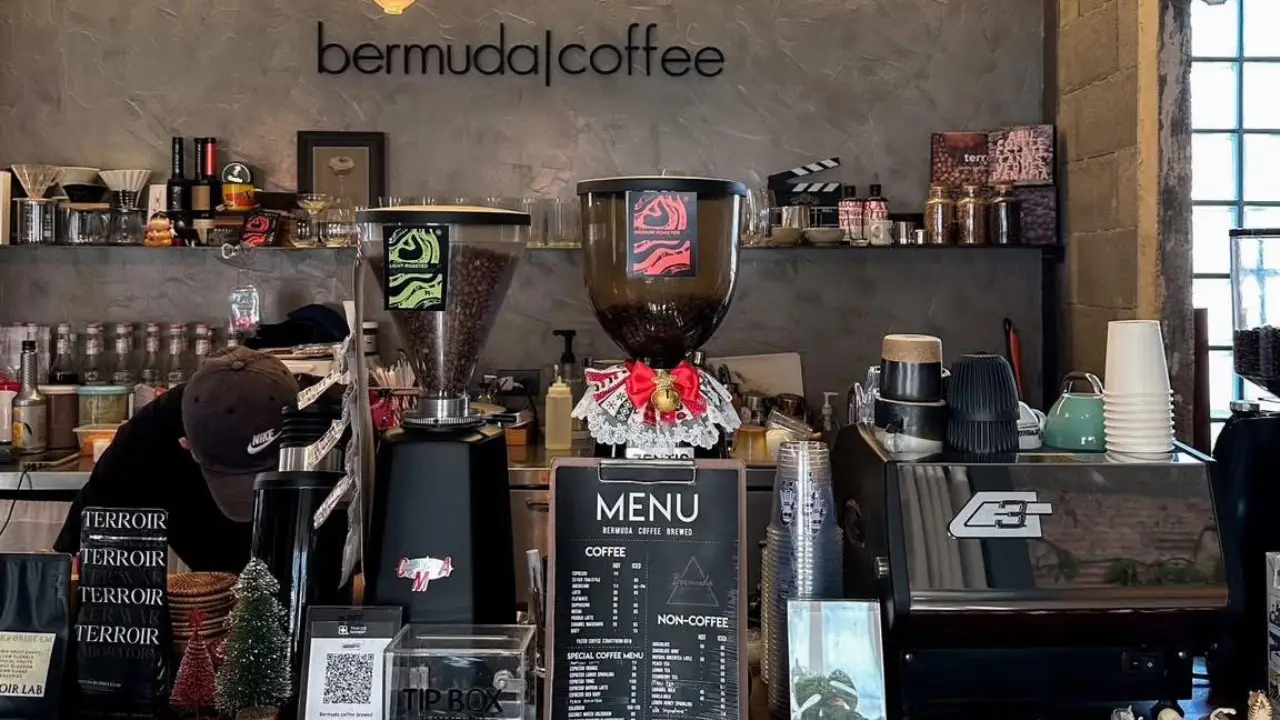 Bermuda coffee brewed - Chiang Rai Digital Tourism Directory
