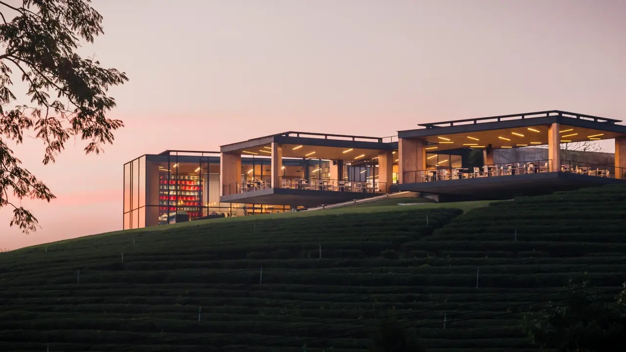 Chui Fong Tea - Chiang Rai Digital Tourism Directory